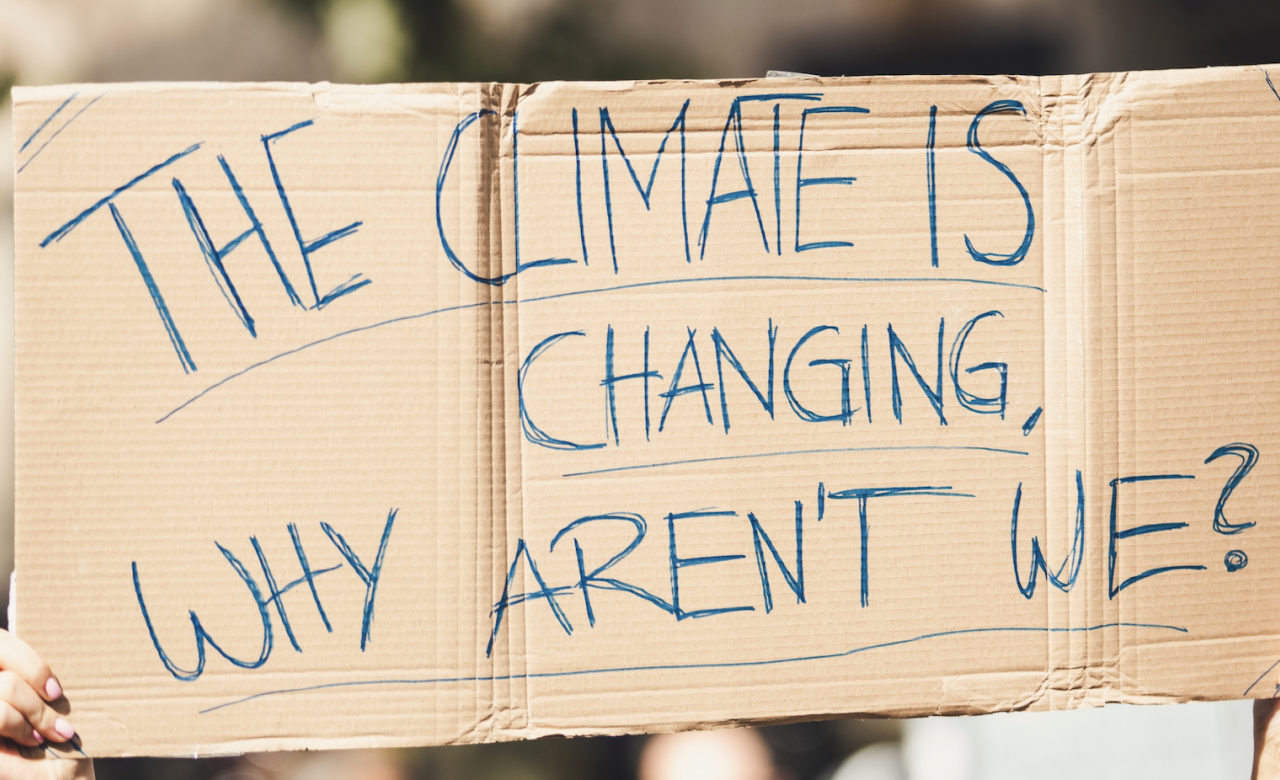 How can philanthropy support action on climate change? | Synergos