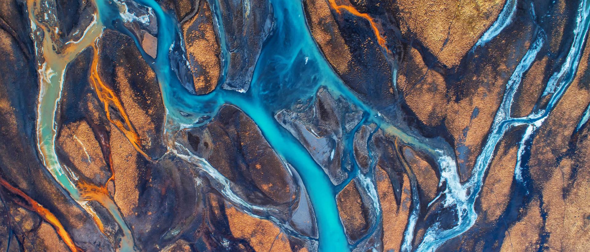 Bridging Leadership Voices: Building trust for collective action | Synergos