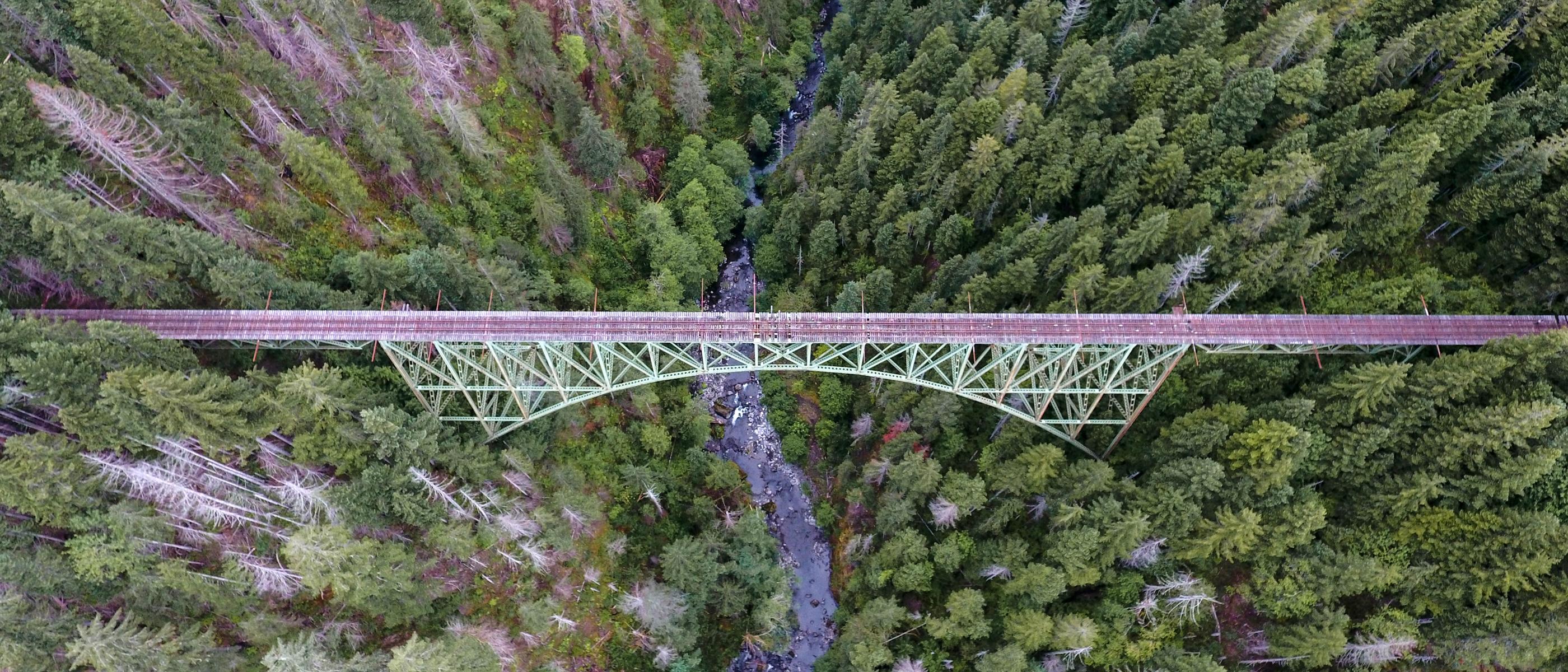 Bridging Leadership | Synergos