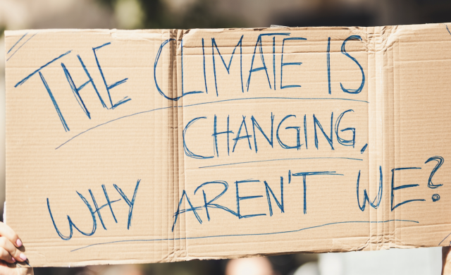 How can philanthropy support action on climate change? | Synergos