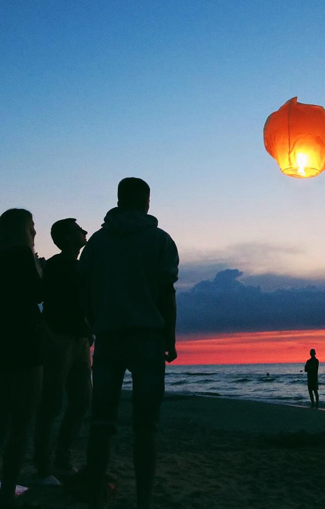 Bridging Leadership | Synergos